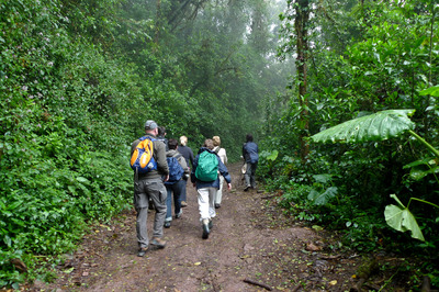 Rondreis Costa Rica, 21 dagen | Djoser